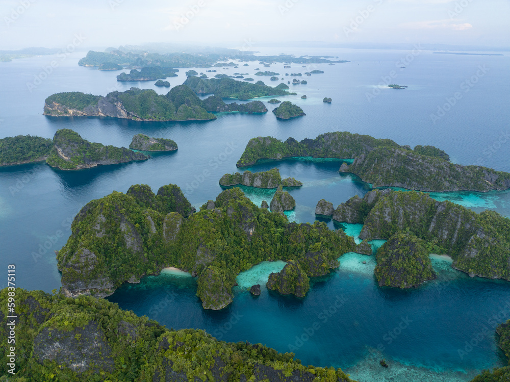 Foto Coral reefs surround the dramatic limestone islands that have been ...