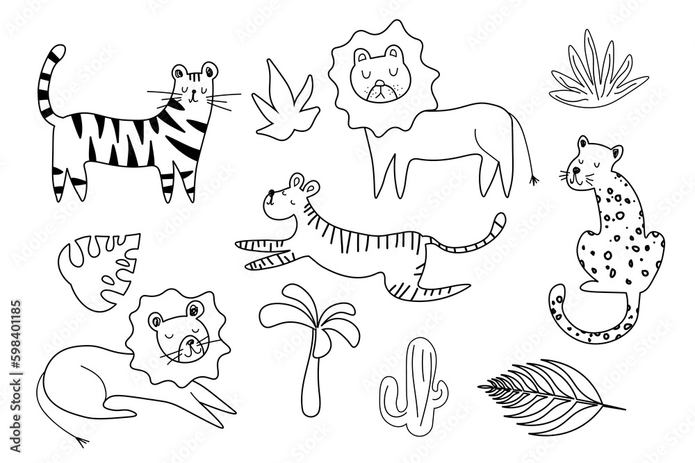 Set of big cat line doodle wild vector drawings. Predators african and ...
