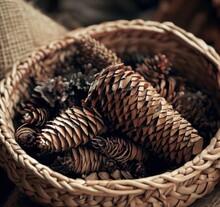 Pine Cones In Basket Free Stock Photo - Public Domain Pictures