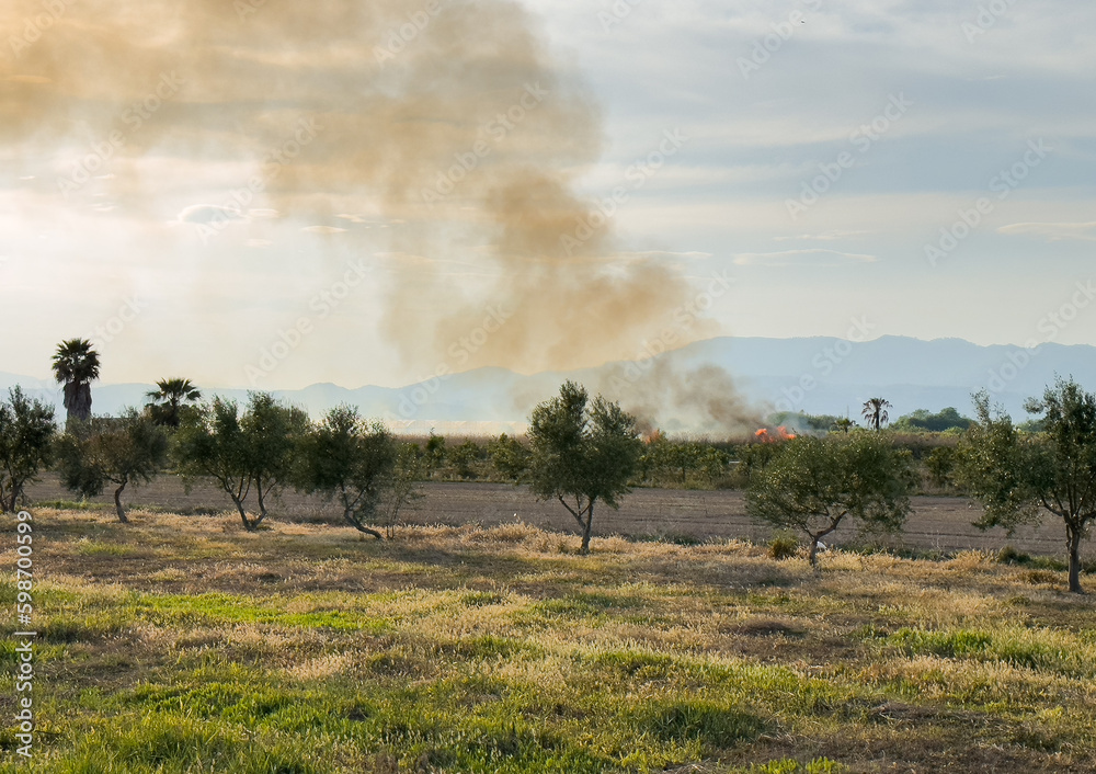 Fire on farm field. Fires in Spain due to drought. Hot weather and ...