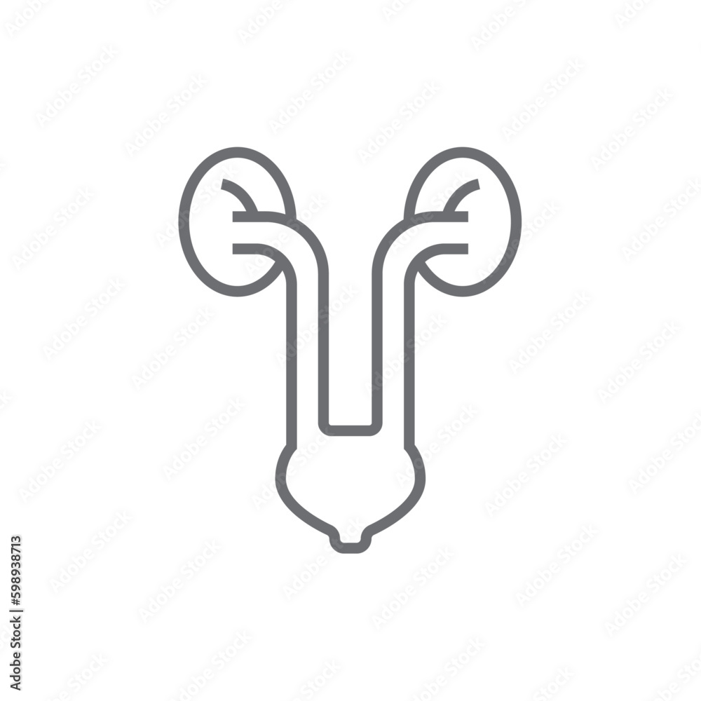 Vector de Stock Kidney Digital Healthcare icon with black outline style ...