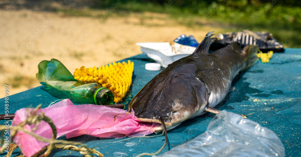 garbage in a dead fish mouth visual representation of the devastating ...
