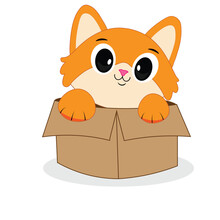 Orange Cat In Box Art Print Free Stock Photo - Public Domain Pictures