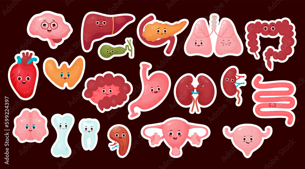 Big collection stickers cute human cartoon organs. Isolated vector flat ...