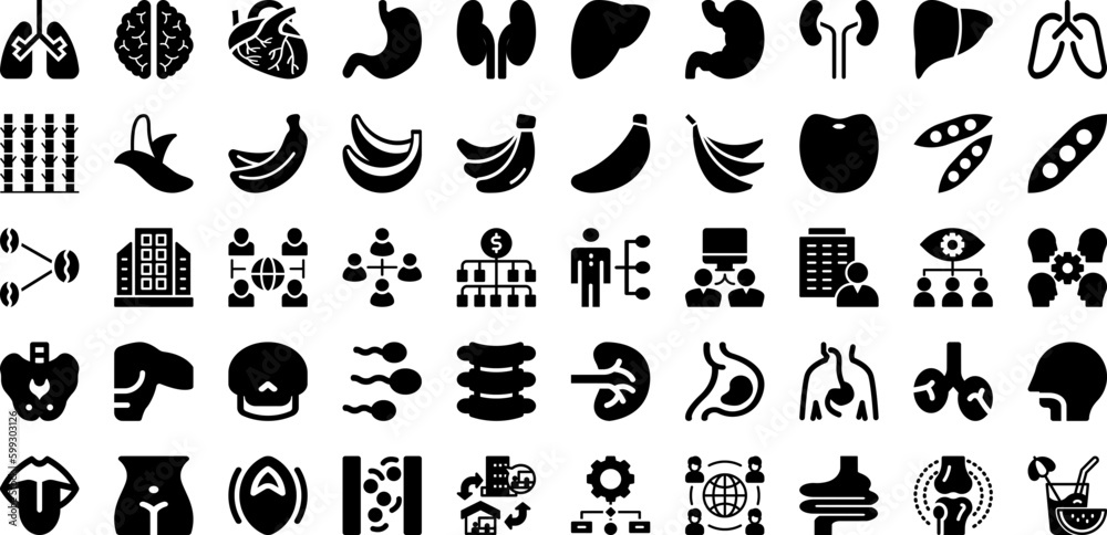 Organ Icon Set Isolated Silhouette Solid Icons With Vector, Body, Icon ...