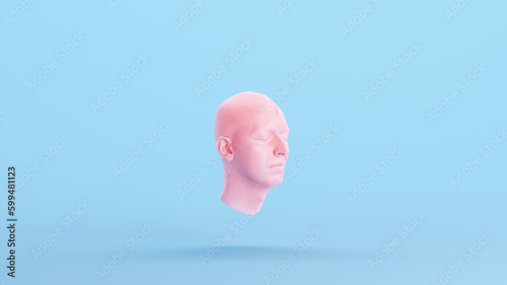 Pink Anatomical Ecorche Human Head Medical Musculature Sculpture ...