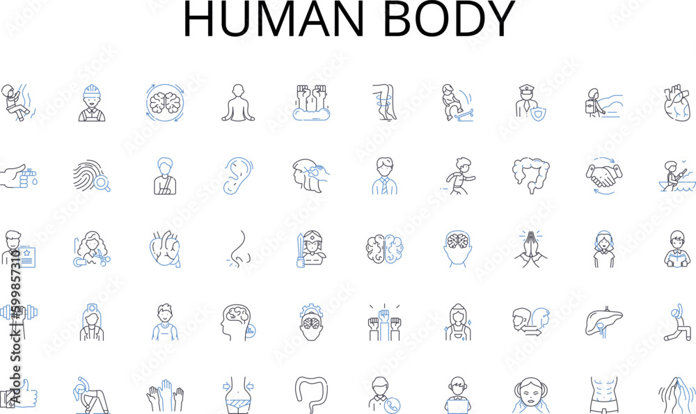 Human body line icons collection. Ambition, Aspiration, Achievement ...