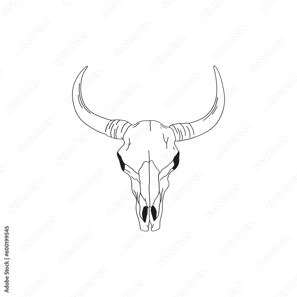Cow bull scull. Western design, wild west element. Linear vector ...