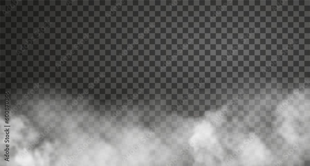 Cloudy fog isolated on transparent background. Realistic vector ...