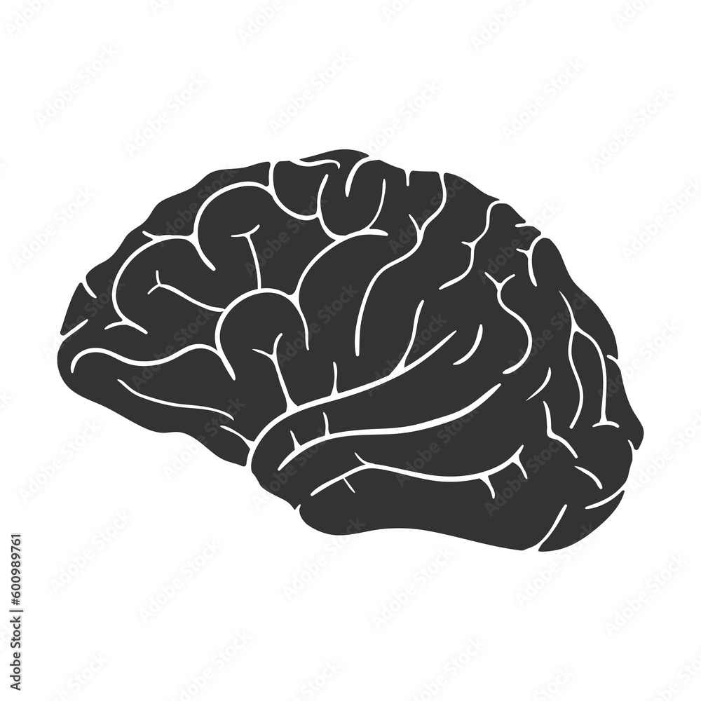 Human brain icon. Illustration on transparent background Stock ...