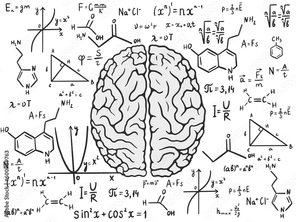 Human brain and formulas. Analytic concept. Illustration on transparent ...
