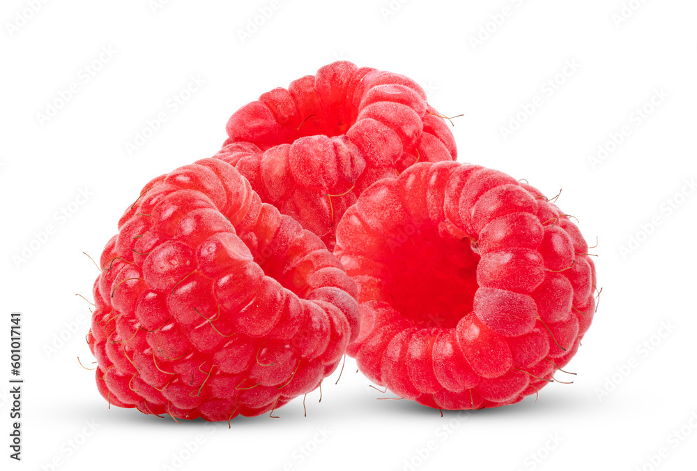 Solitary raspberry isolated on transparent png Stock Photo | Adobe Stock