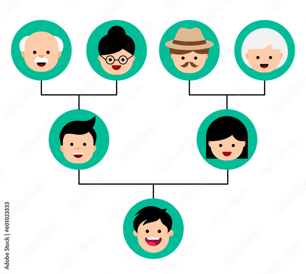Genogram in cartoon style. Family tree chart. Genealogy tree structure ...