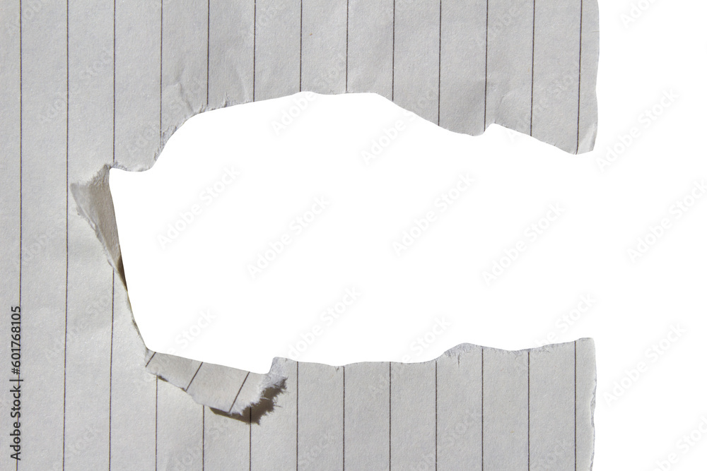 Torn paper piece on transparent background. Png ripped paper. Stock ...