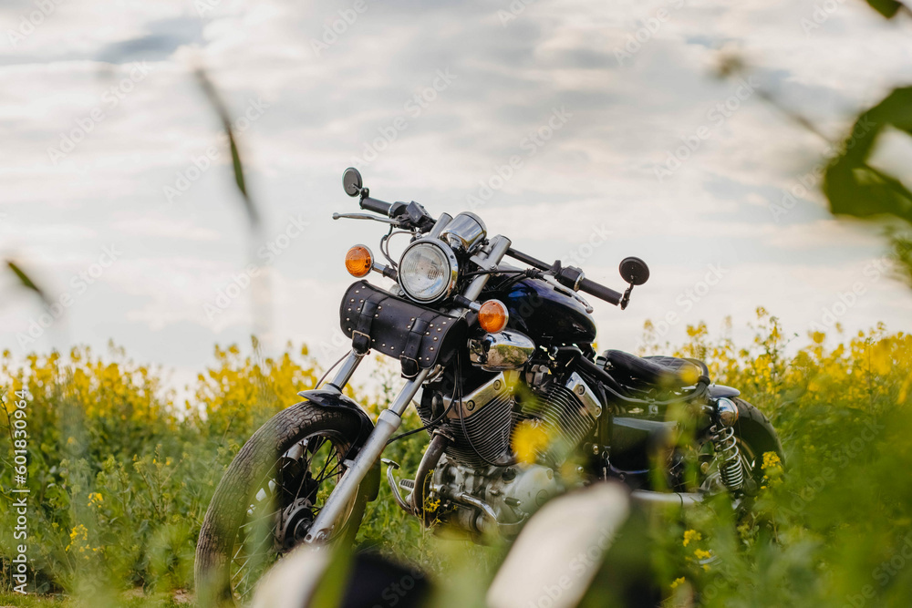 custom motorcycle bobber chopper in yellow field. Aesthetic vintage ...