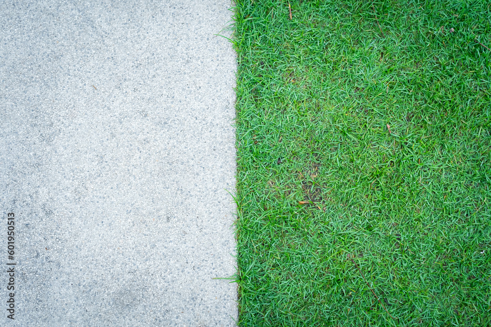 Top view of green grass texture with concrete floor background. Green ...