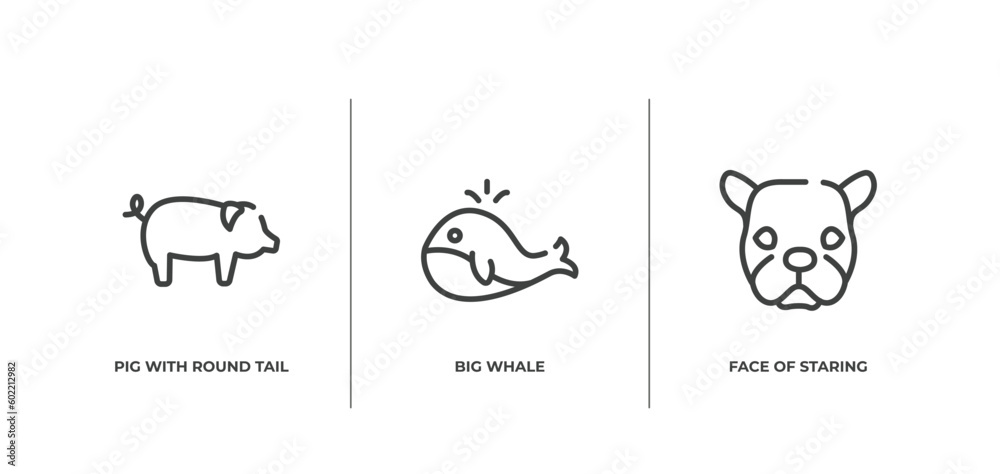 woof woof outline icons set. thin line icons sheet included pig with ...