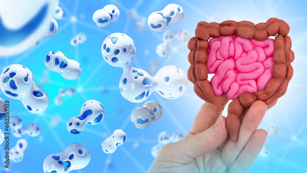 Probiotics for intestinal tract. Microflora of digestive system ...