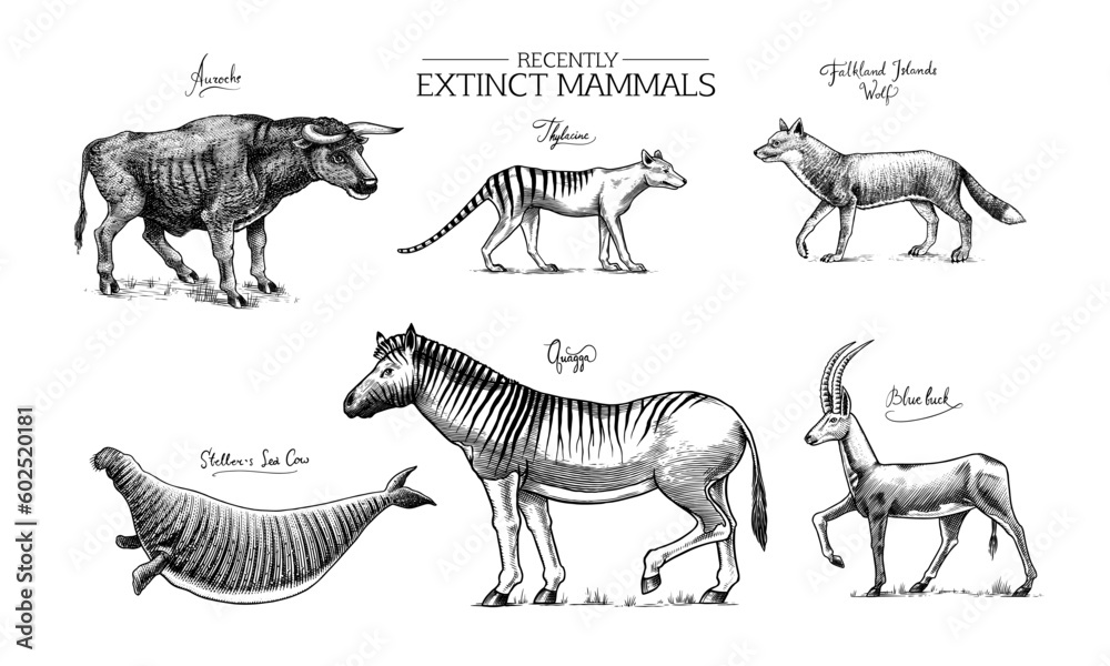Extinct species. Wild mammal animals and birds. Tasmanian wolf, Quagga ...