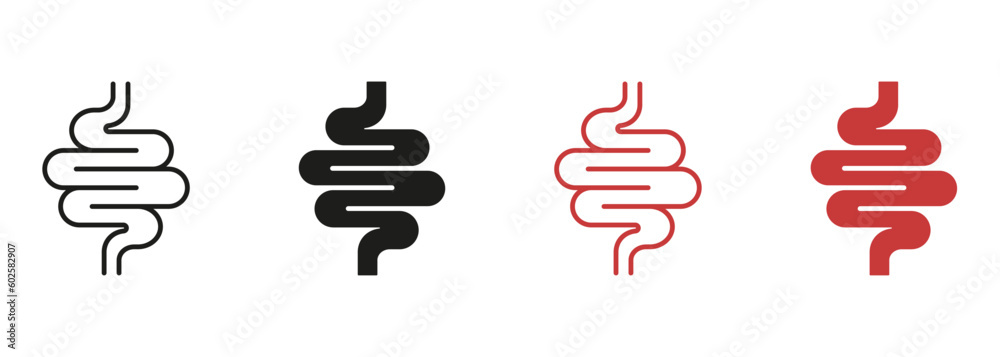 Intestine Line and Silhouette Color Icon Set. Health Colon, Small Gut ...