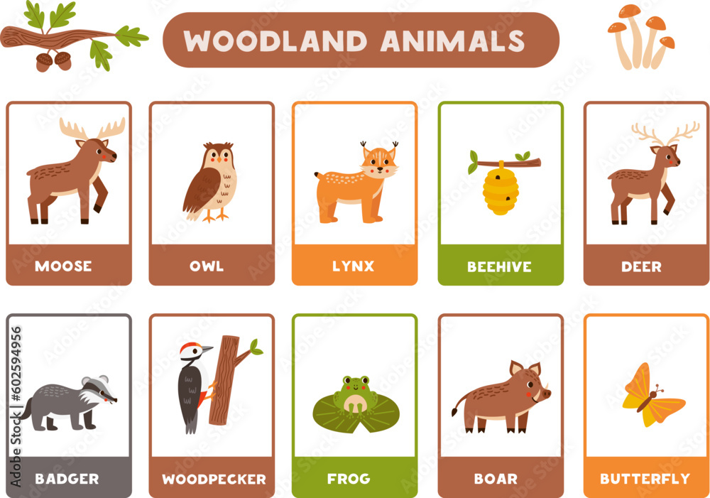 Cute cartoon woodland animals with names. Flashcards for learning ...