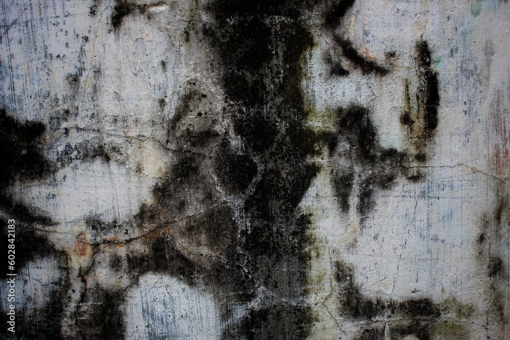 This close-up of a weathered, rundown wall displays the deterioration ...