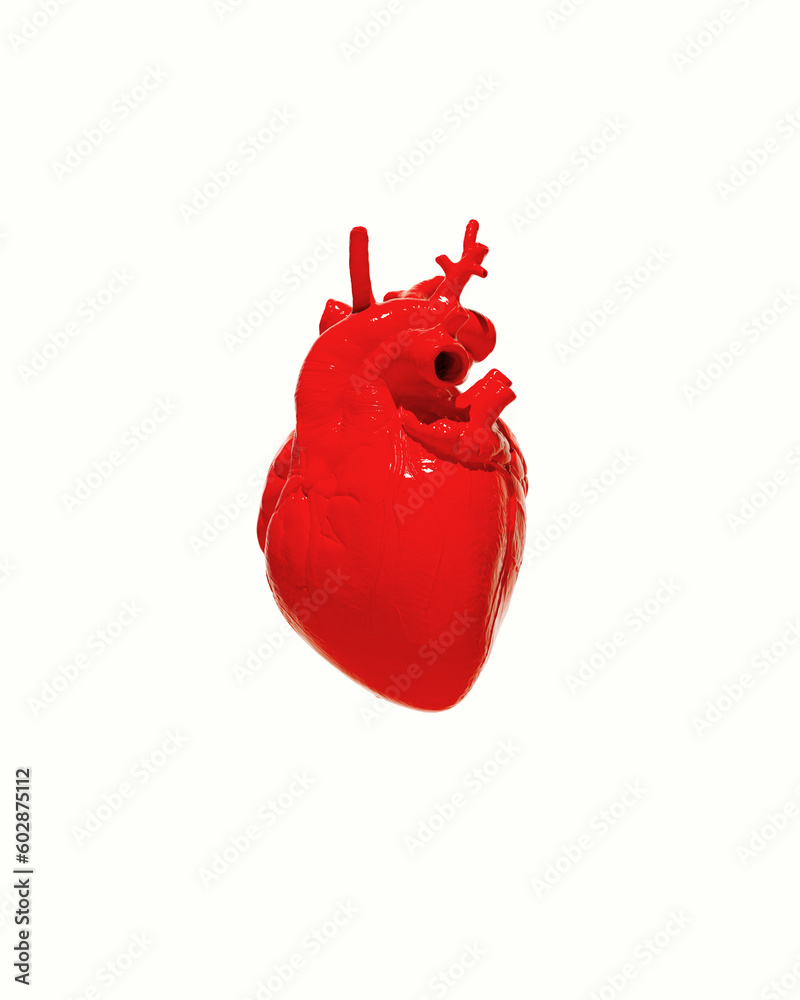 Red Human Heart Anatomical White Background Shiny Wet Blood Organ ...