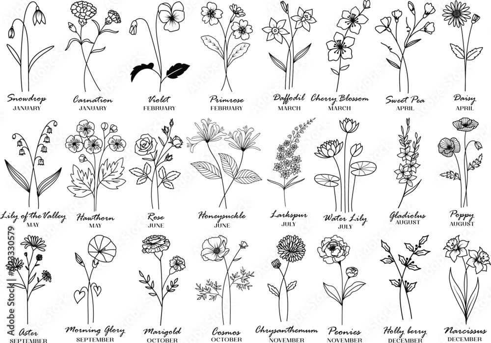 Birth Month Flower Vector Bundle 24 Design Edited Floral Drawing ...