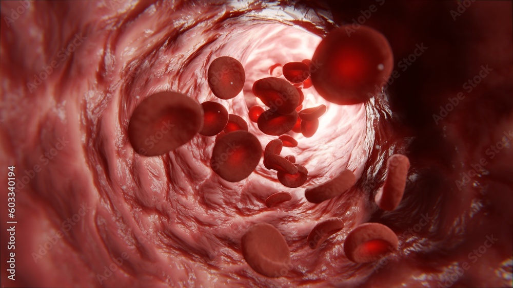 Blood in the veins, blood vessels, white blood cells and platelets ...