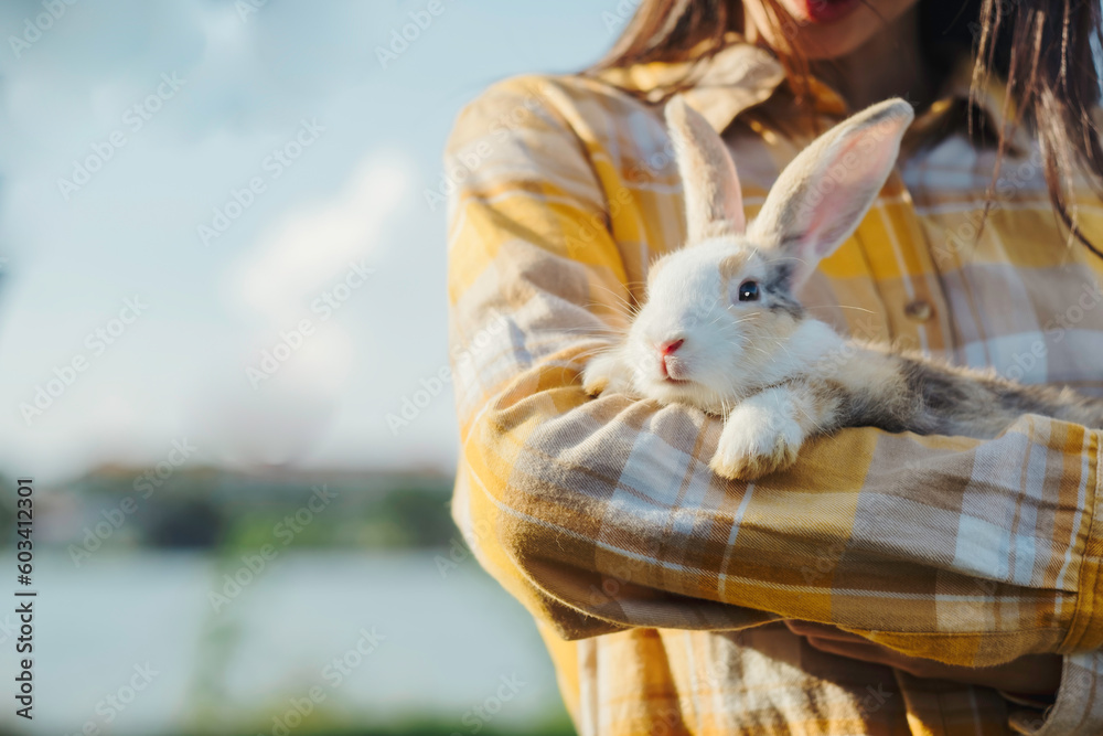 Closed up rabbit over woman arm with pond and forest blur background ...