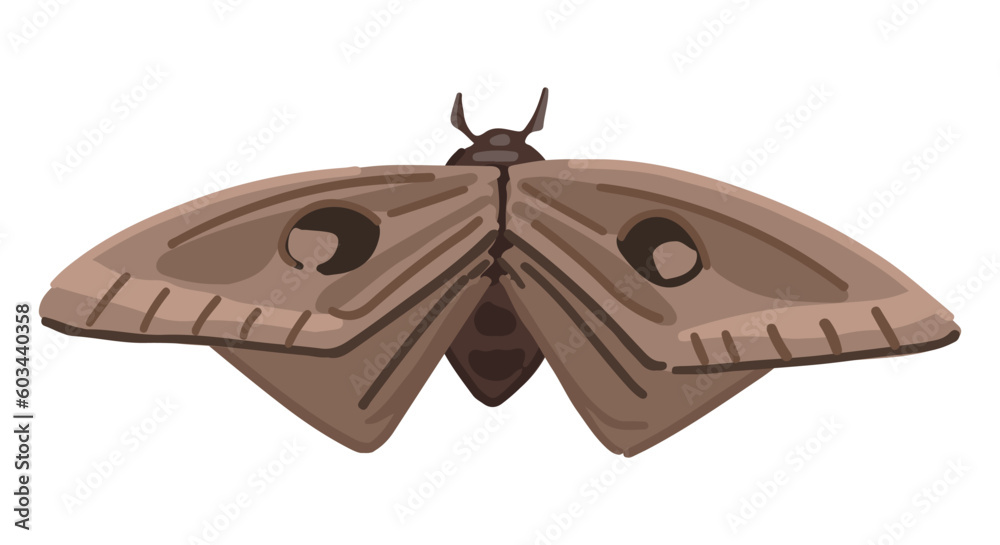 Flying moth, insect animal doodle. Vector illustration in cartoon style ...