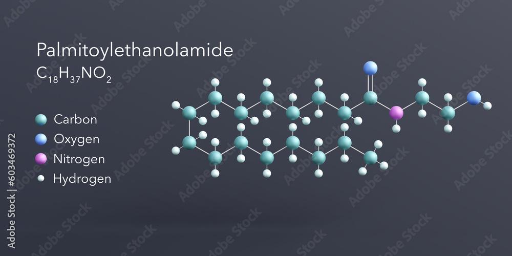palmitoylethanolamide molecule 3d rendering, flat molecular structure ...