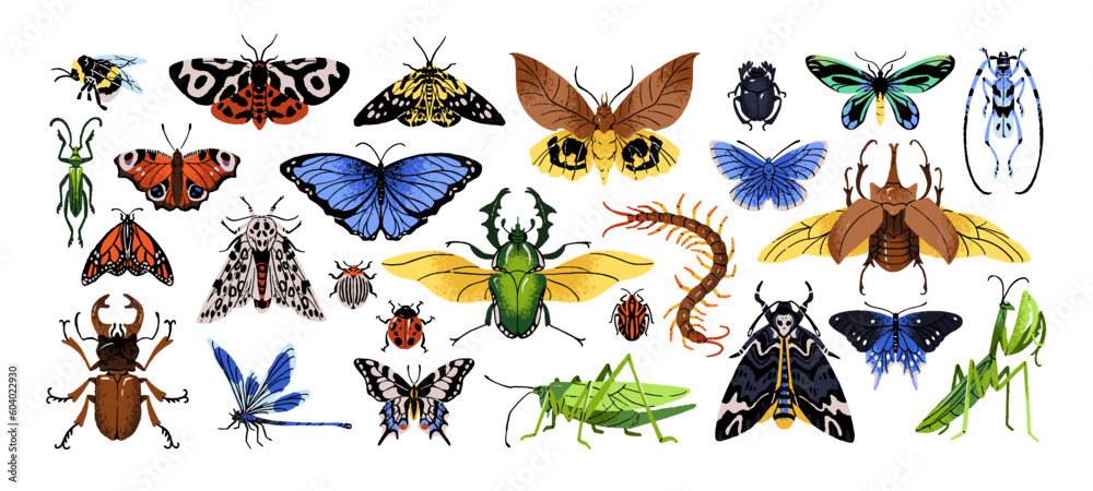 Vector de Stock Insects species set. Different butterflies, beetles ...