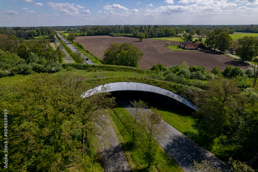 Aerial Dutch countryside road traversed by wildlife crossing forming a ...