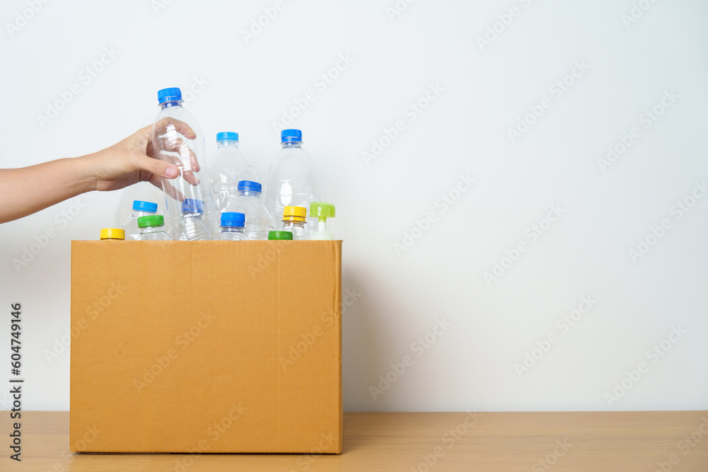 Volunteer keep plastic bottle into paper box at home or office. Hand ...