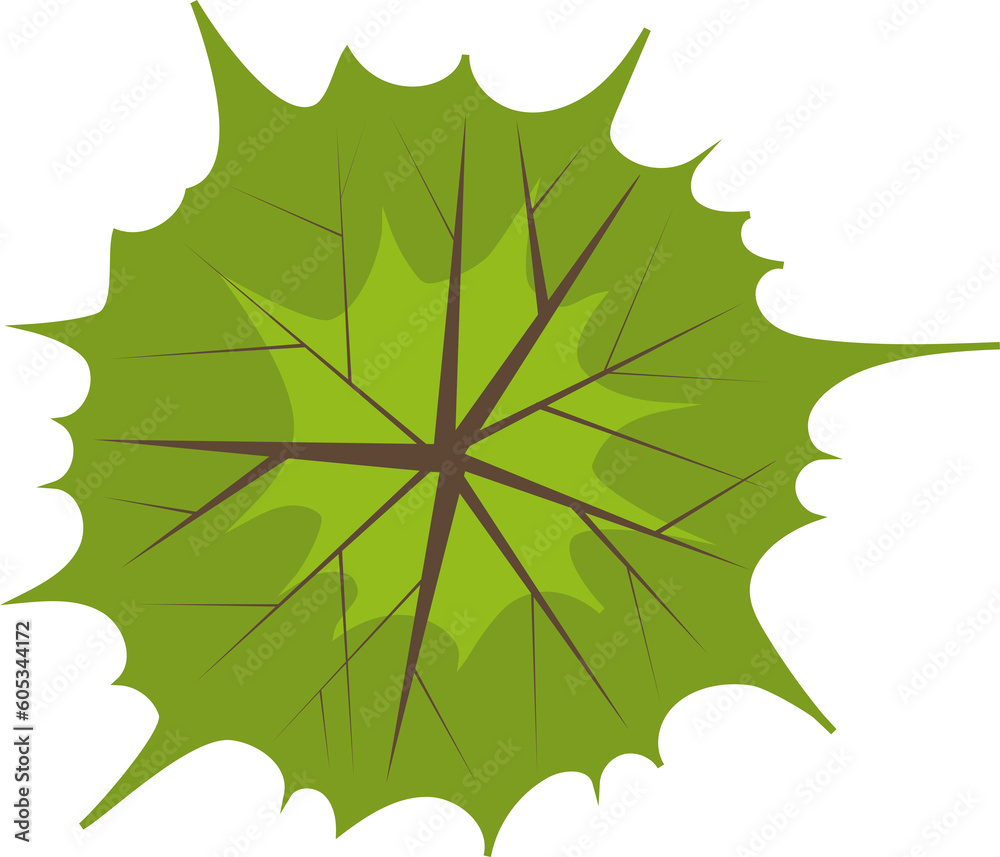 Tree or plant top view for landscape design. Icon colored tree for ...