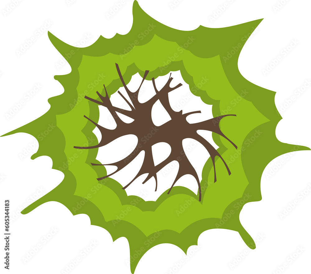 Tree or plant top view for landscape design. Icon colored tree for ...