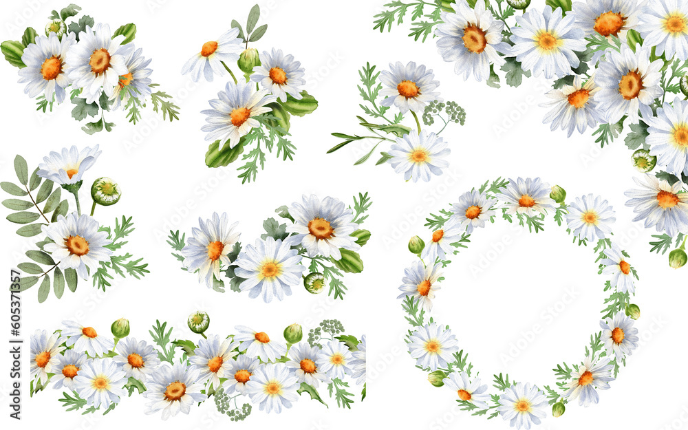 Watercolor Daisy flower clipart. Chamomile floral border, bouquets ...