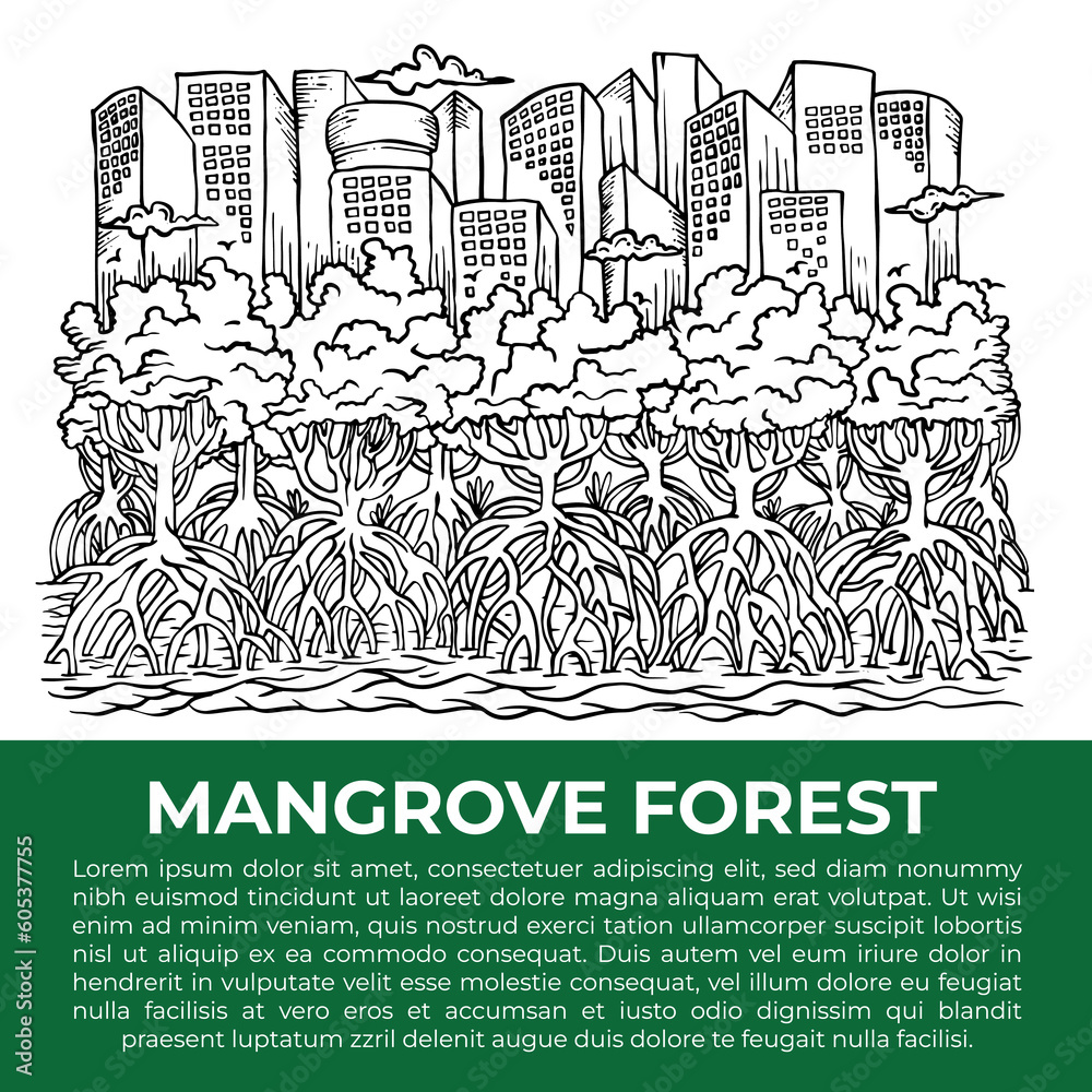 Mangroves protect buildings from tsunamis and abrasion Stock Vector ...