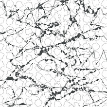 Contorted River Bush-willow Branch Free Stock Photo - Public Domain ...