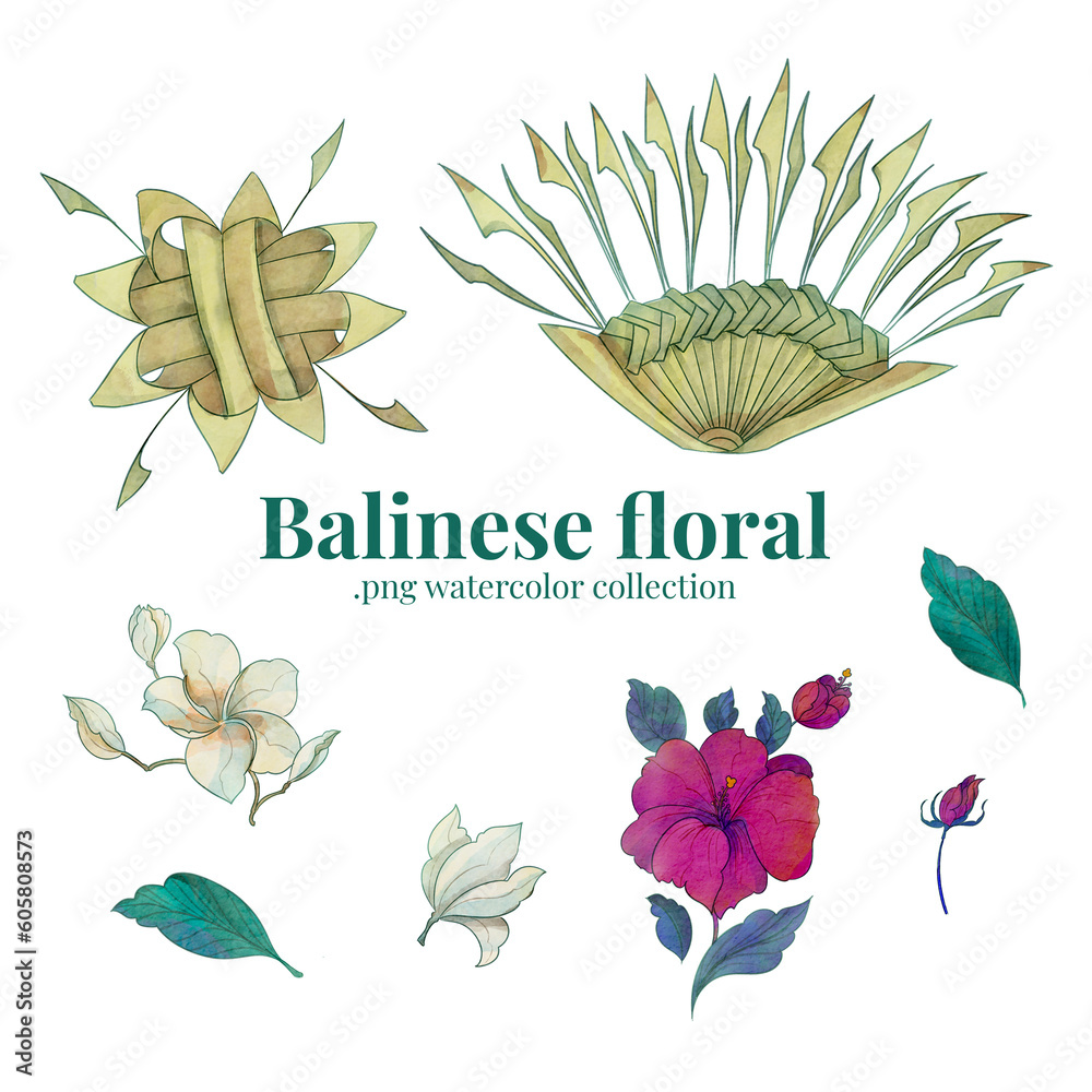 Tropical Blooms: Balinese Floral Watercolor Illustration PNG no ...