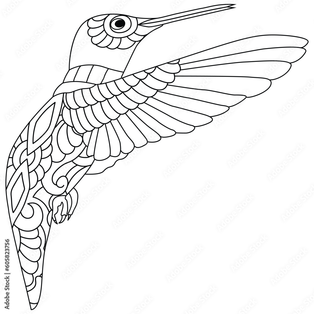 Coloring picture of cute hummingbird hand-drawn line art illustration ...