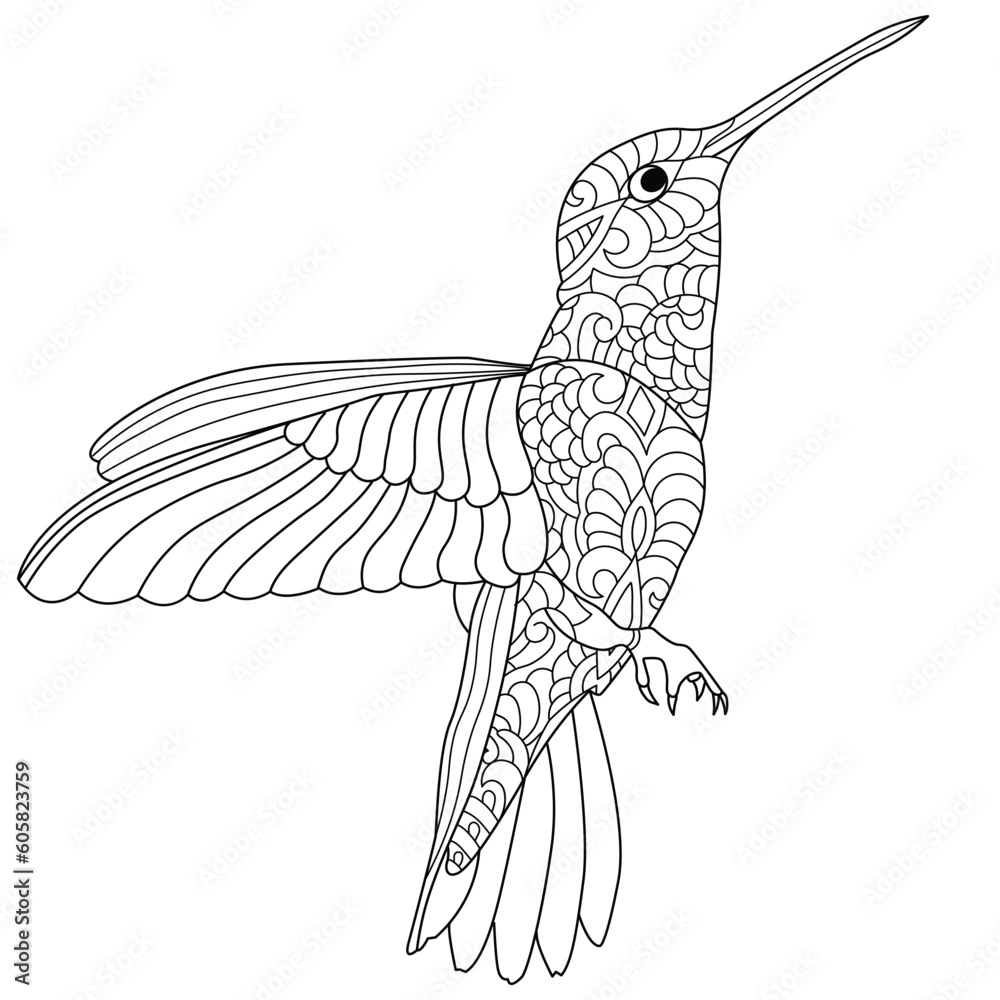 Beautiful hummingbird line art illustration for coloring book pages for ...