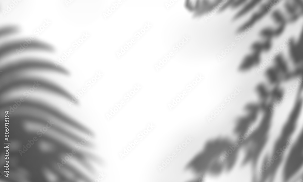 Shadow overlay effect transparent background. Abstract sunlight ...
