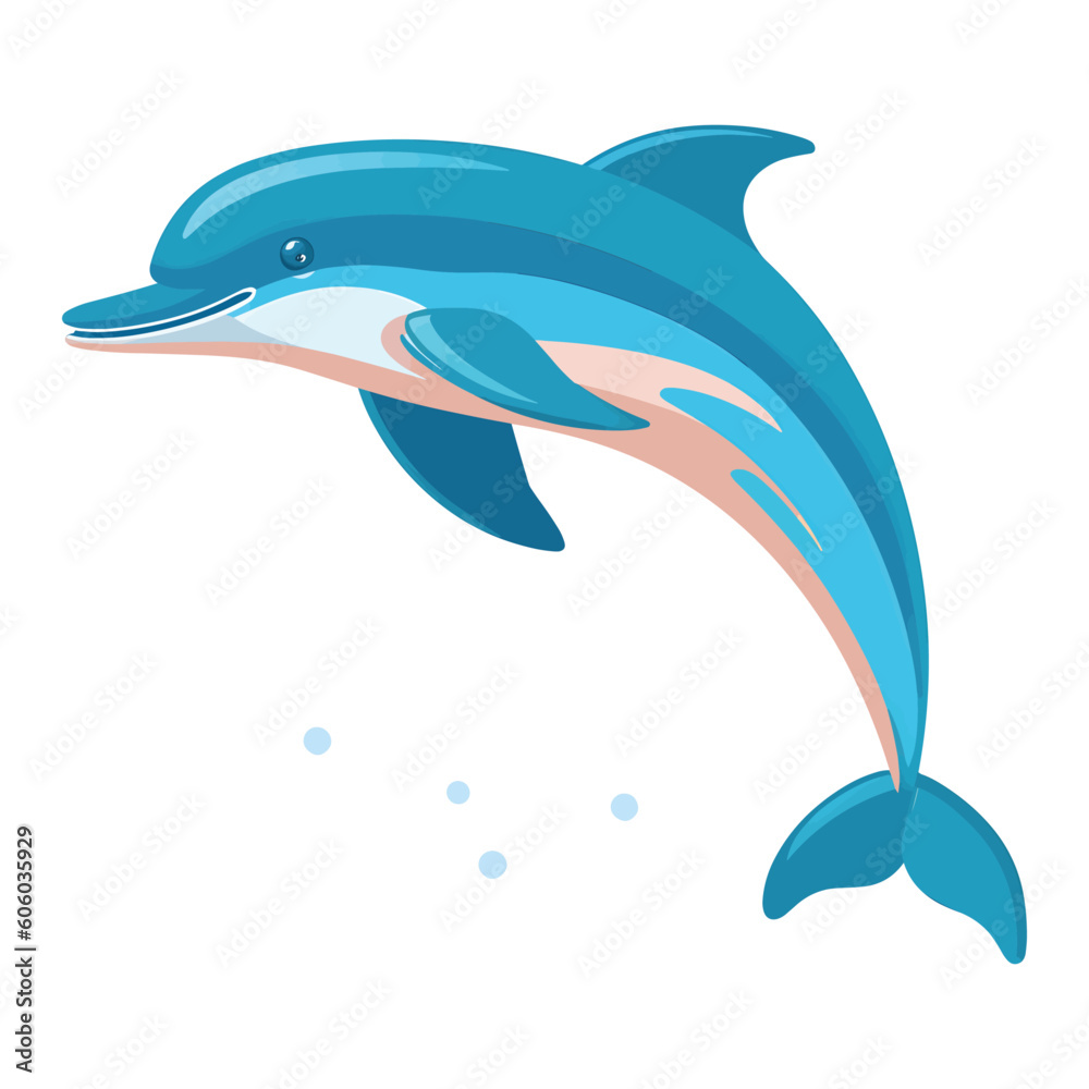 dolphin vectors