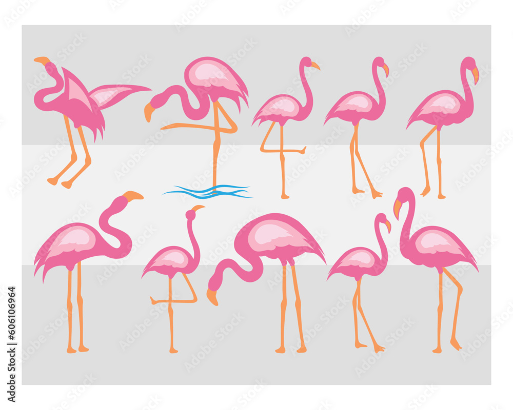 Flamingo | SVG Bundle | Bird Svg | Pink Flamingo Svg | Circut Cut Files ...