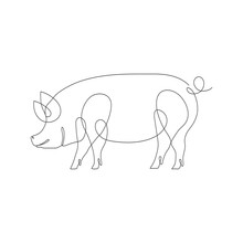 Abstract Pig Line Art Free Stock Photo - Public Domain Pictures
