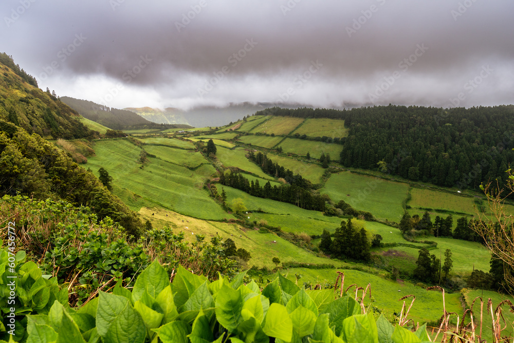 Vegetation and fields on hills, panorama with mountain gradient on the ...