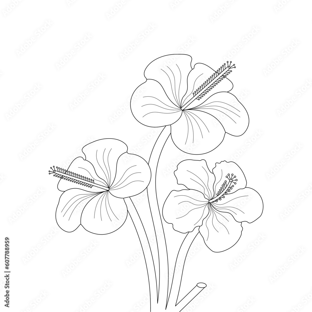 Hibiscus Flower Drawing Coloring Page With Doodle Art Line Art Vector ...