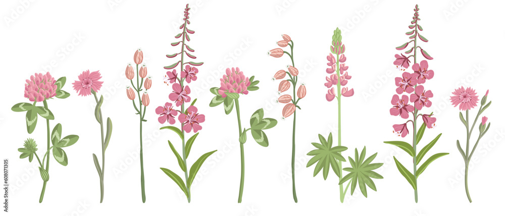 pink and red field flowers, vector drawing wild flowering plants ...